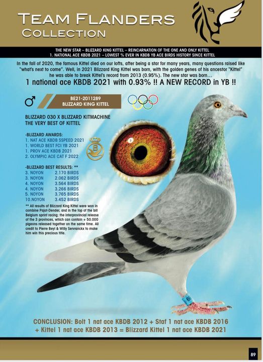 Gordon Bros and Sons – The Home of Speed – Record Breaking Super Fast ...