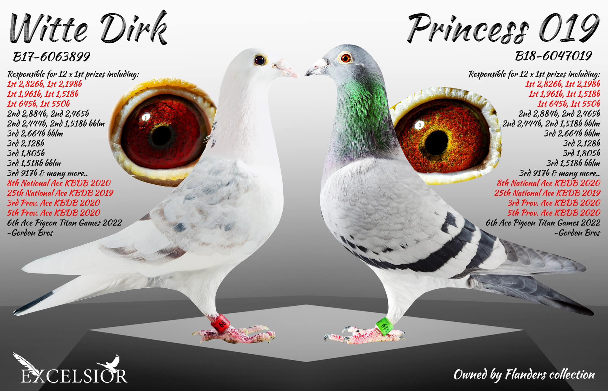 Gordon Bros and Sons – The Home of Speed – Record Breaking Super Fast ...